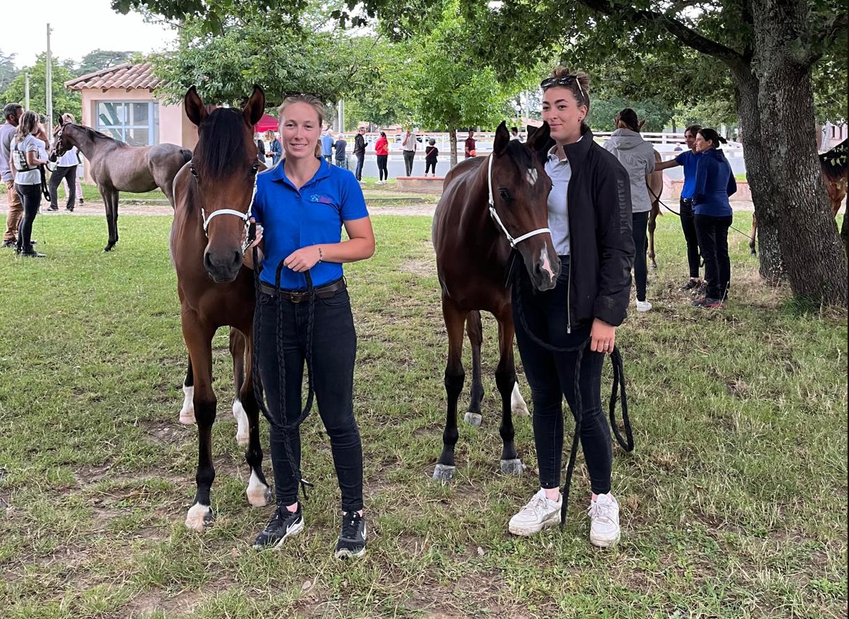 Concours Modèles & Allures à St Etienne de Tulmont - Elevage de Bozouls